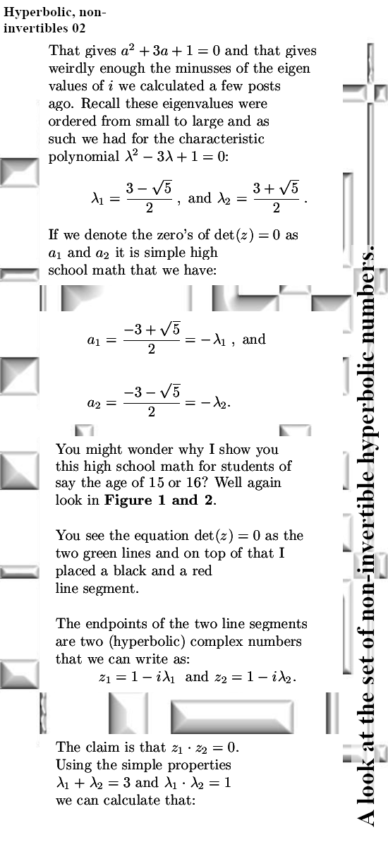 A look at the set of non invertible hyperbolic 2D complex numbers ...