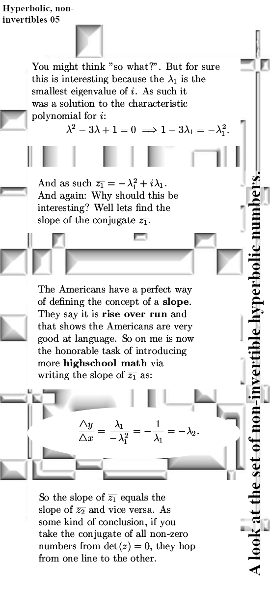 A look at the set of non invertible hyperbolic 2D complex numbers ...